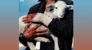 Soft Lyrics & Tracklist - LANY – Lyrics & Tracklist